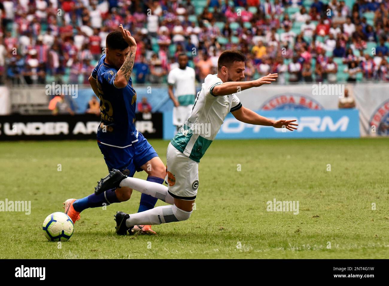 BA - Salvador - 08/18/2019 - Brazilian Serie A 2019, Bahia vs Goi s ...