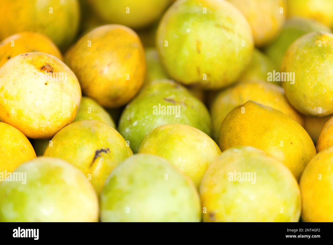 Close-up on a stack of mangoes for sale on a market stall Stock Photo ...