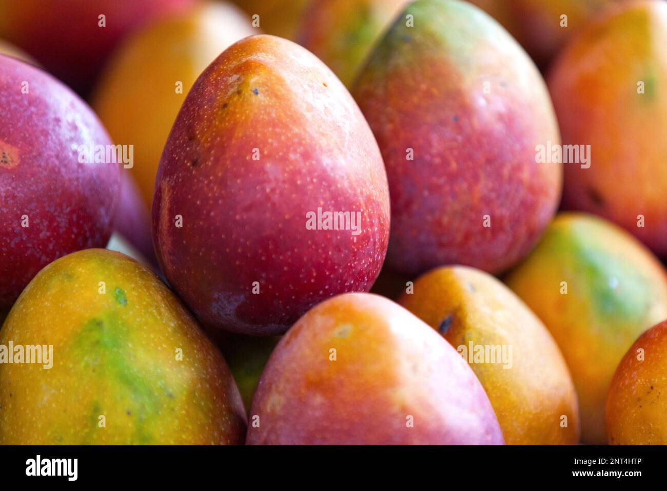 Close-up on a stack of mangoes for sale on a market stall Stock Photo ...