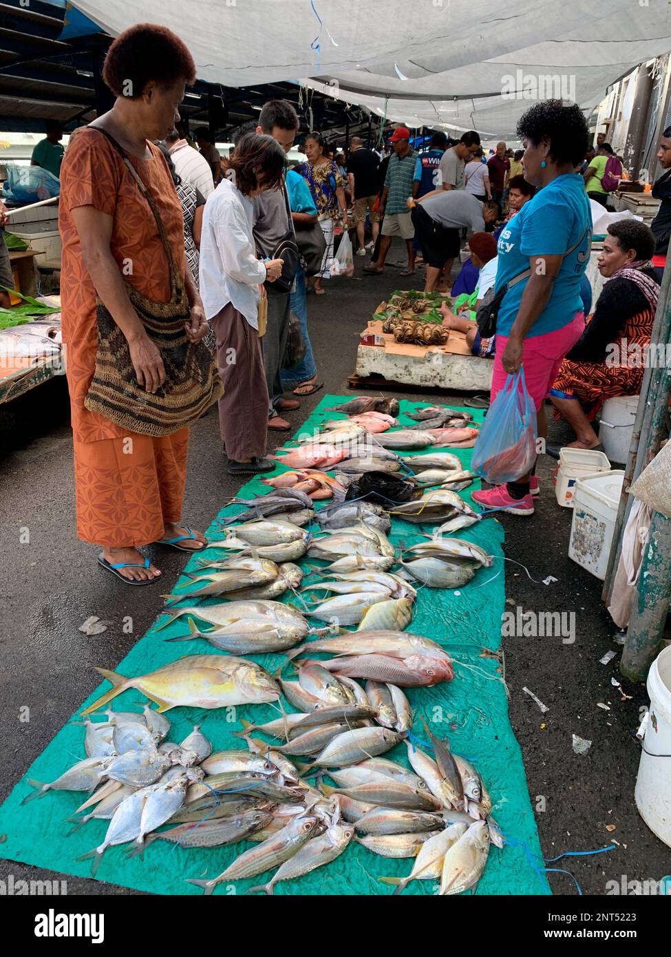 Fish are sold at a market in Suva, Fiji on August 10, 2019. ( The ...
