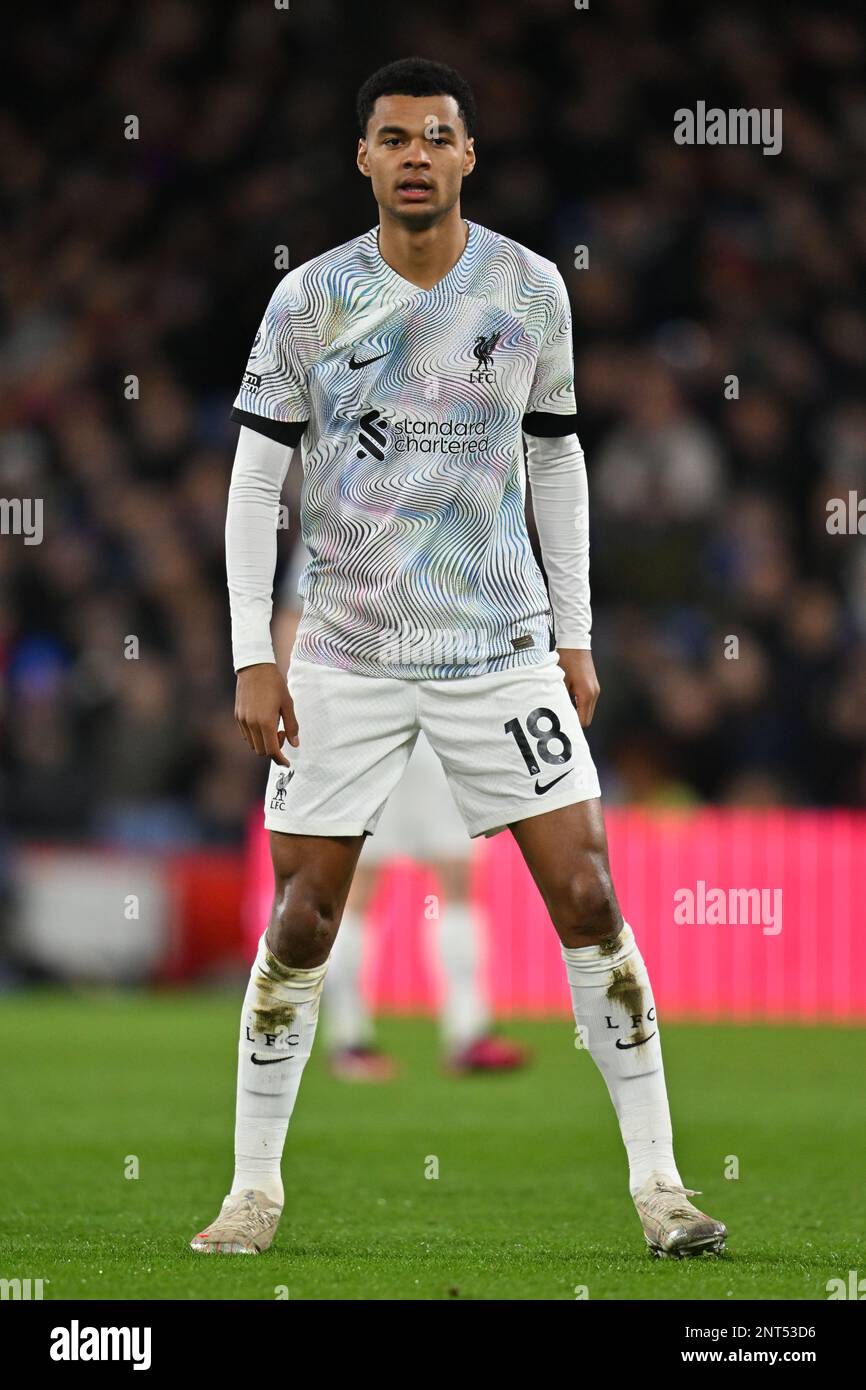 LONDON, ENGLAND - FEBRUARY 25: Cody Gakpo of Liverpool FC during the ...