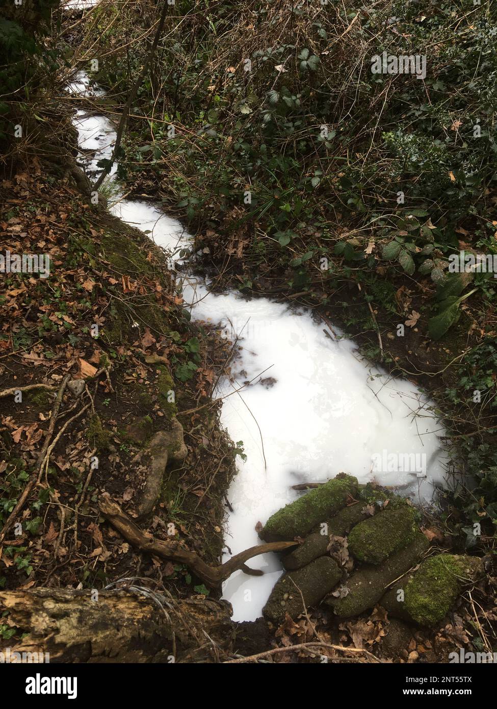 Unknown white substance, possibly emulsion paint, has been discharged ...