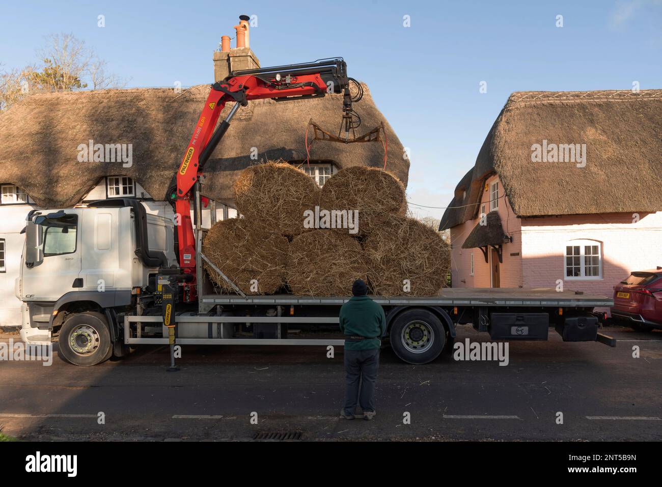 Hampshire, England, UK. 2023. Thatching straw in rolls being off loaded ...