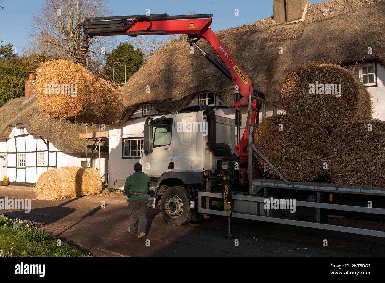 Hampshire, England, UK. 2023. Thatching straw in rolls being off loaded ...