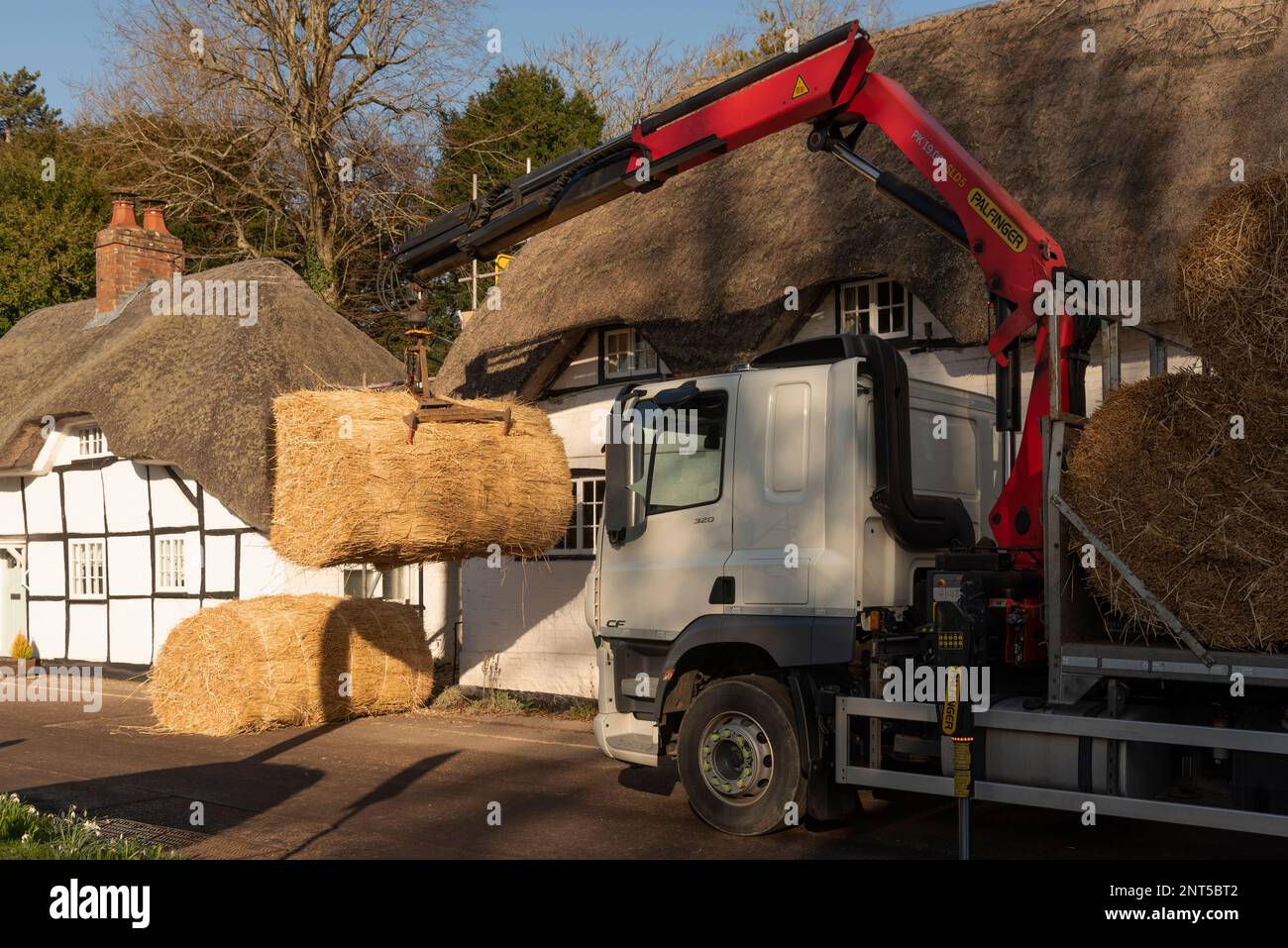 Hampshire, England, UK. 2023. Thatching straw in rolls being off loaded ...