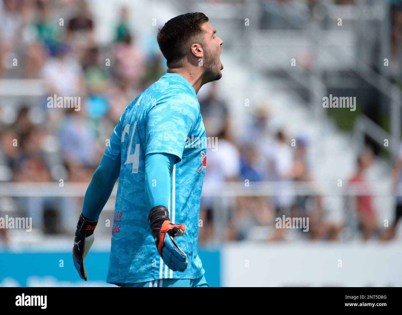 HARTFORD, CT - AUGUST 10: New York Red Bulls II Goalkeeper Evan Louro ...