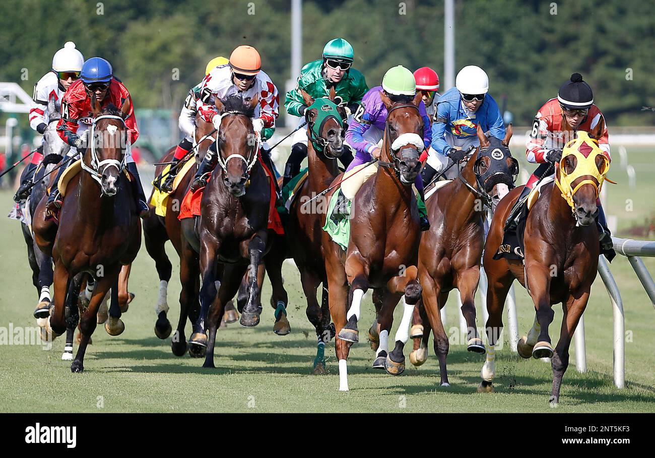 Horses head down the track during the first race on Colonial Downs ...