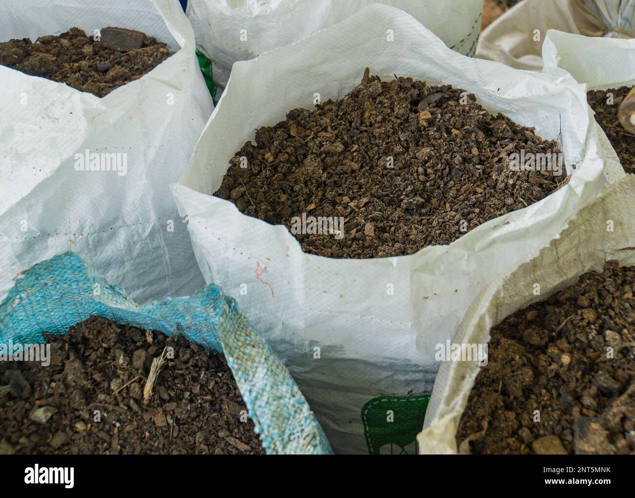 compost made on organic spice plantation with organic plant debris ...