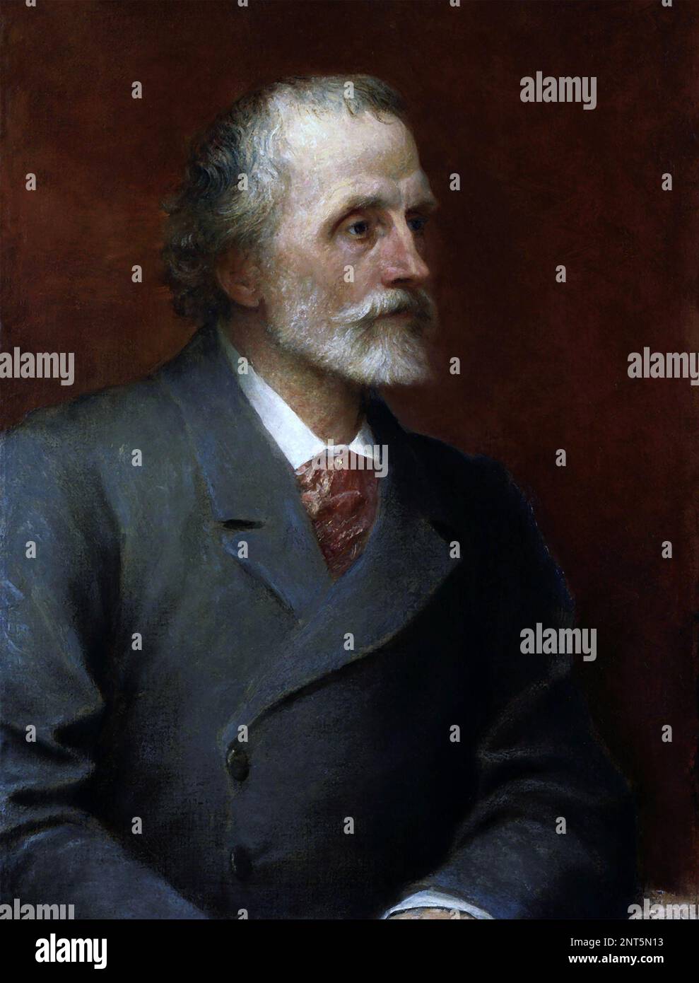 GEORGE MEREDITH (1828-1909) English novelist and poet in 1893 Stock ...