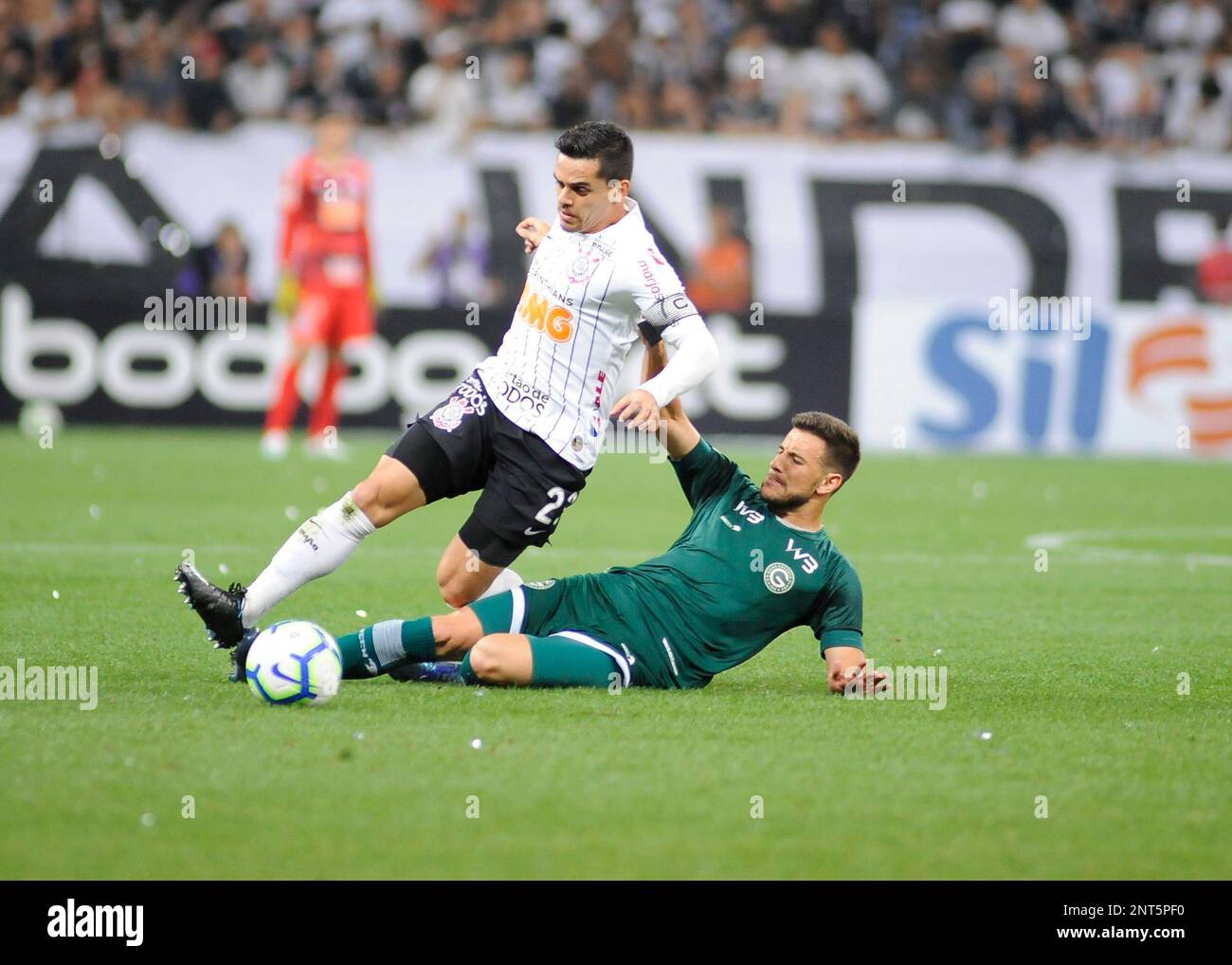 SP - Sao Paulo - 08/07/2019 - Corinthians x Goi s - Brasileiro 2019 ...