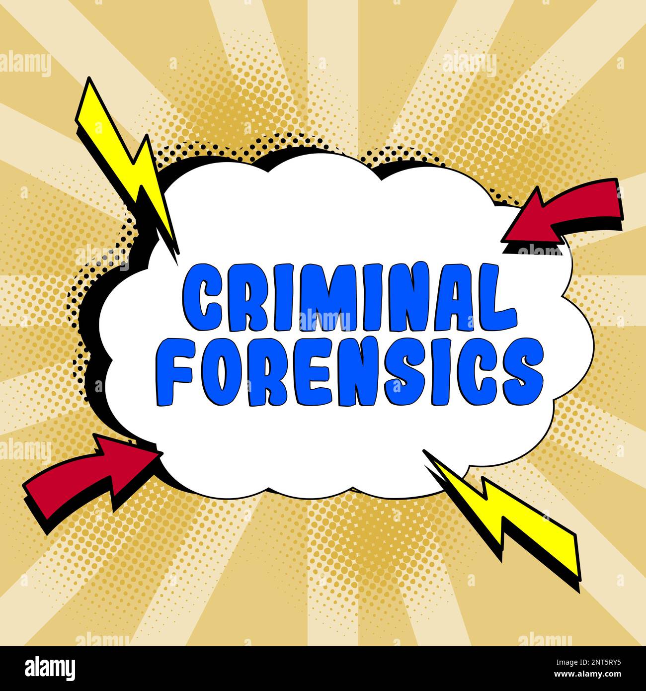 Hand writing sign Criminal Forensics. Business showcase Federal Offense ...