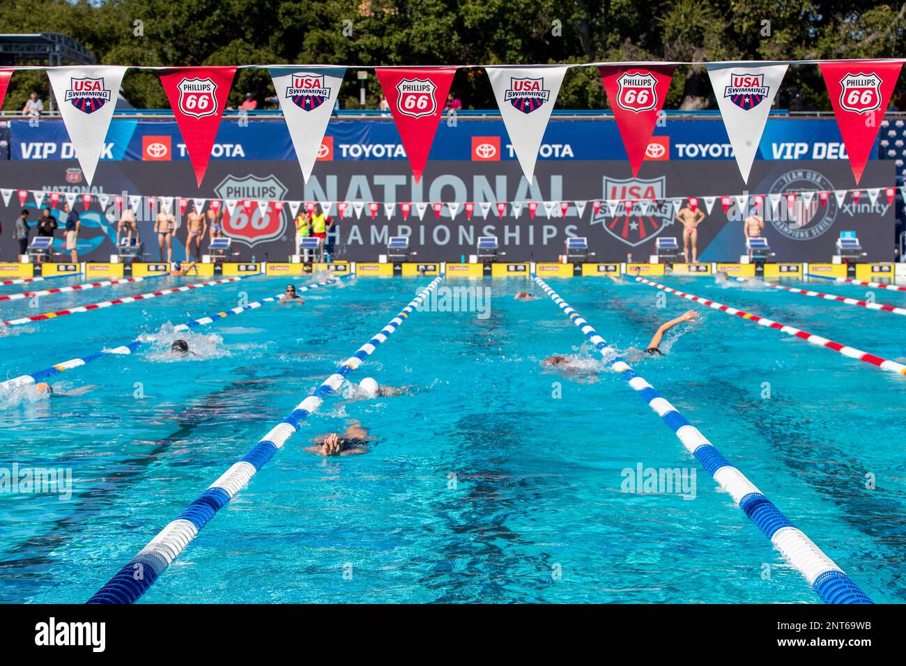STANFORD, CA - AUGUST 02: Swimmers warm up in the pool before the USA ...