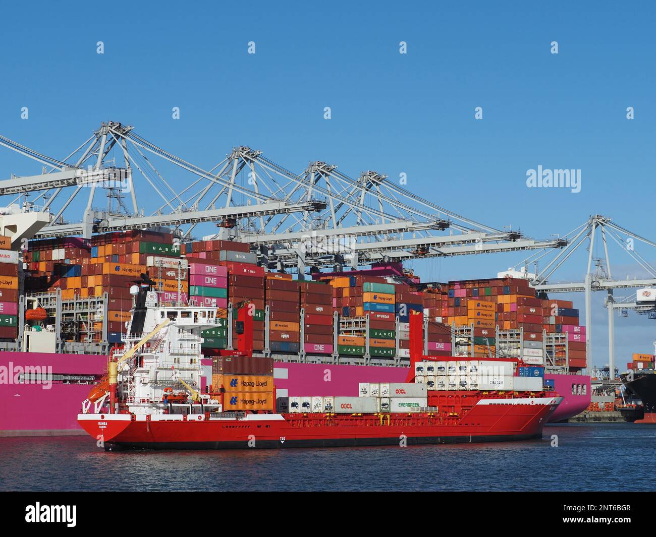 Large pink container ship from the Japanese ONE Ocean Network Express ...