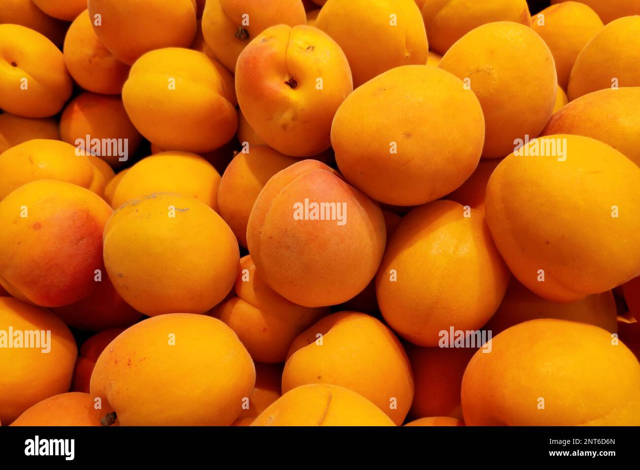 Full frame close-up on a stack of Apricots on a market stall Stock ...