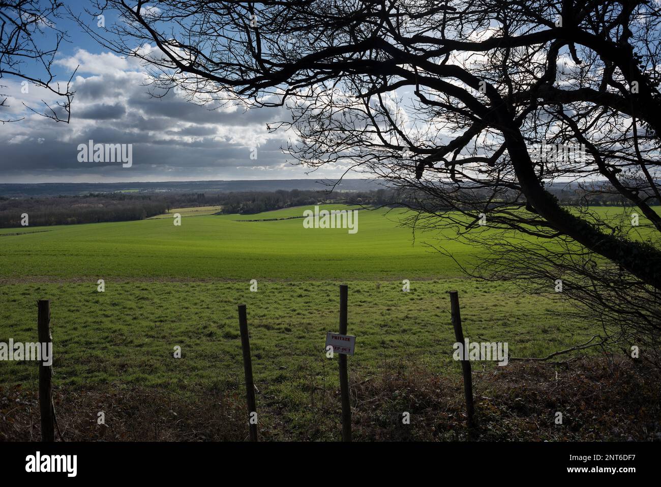 Early sowing barley & wheat cultivars with fair weather clouds briskly ...