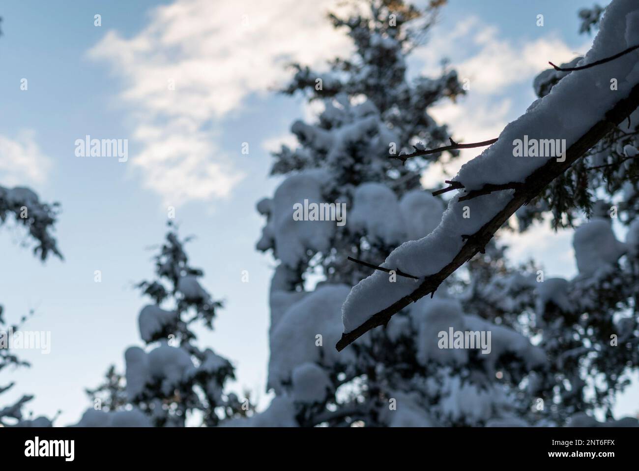 Bruce peninsula winter hi-res stock photography and images - Alamy