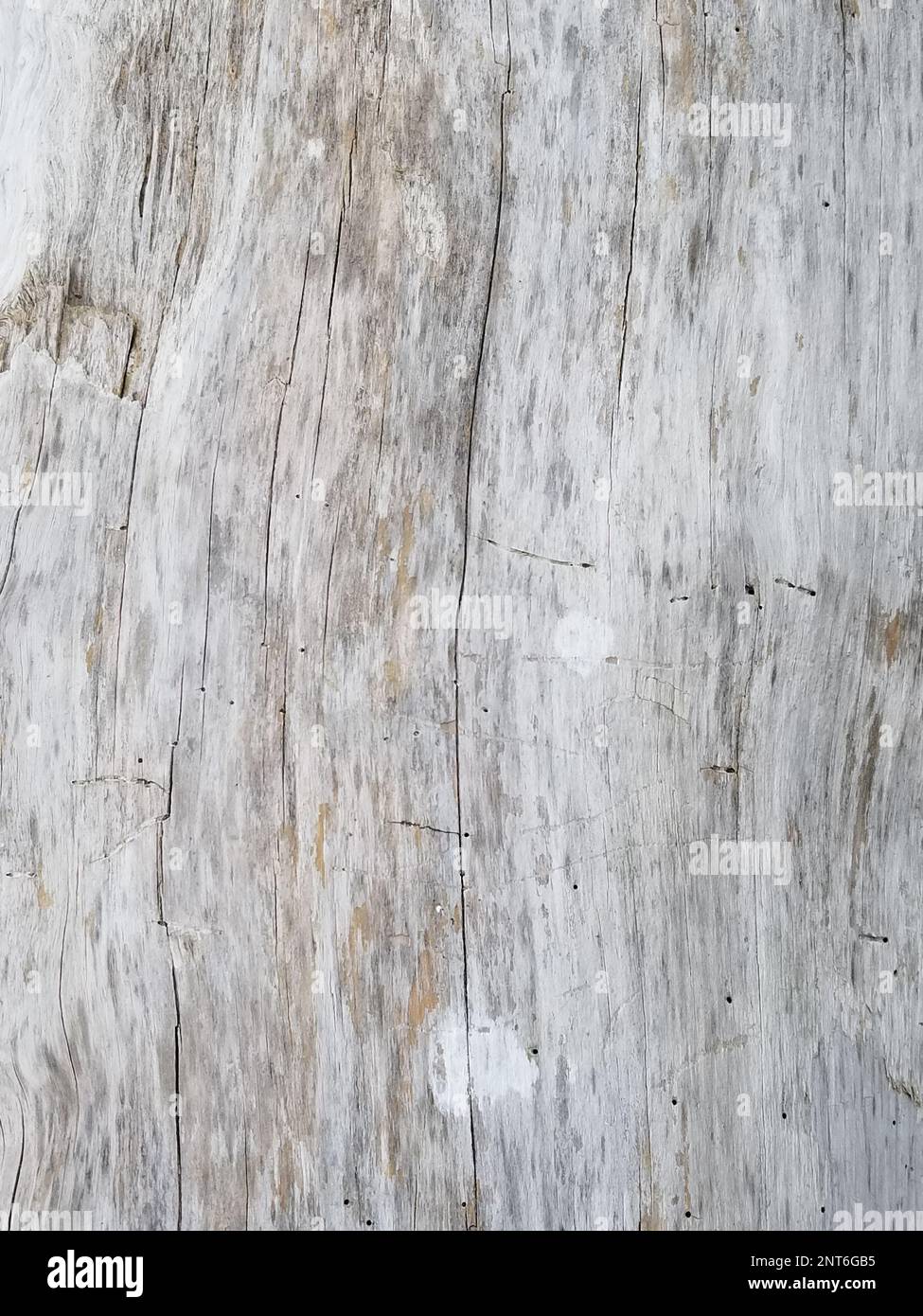 Weathered Wood grain Stock Photo - Alamy