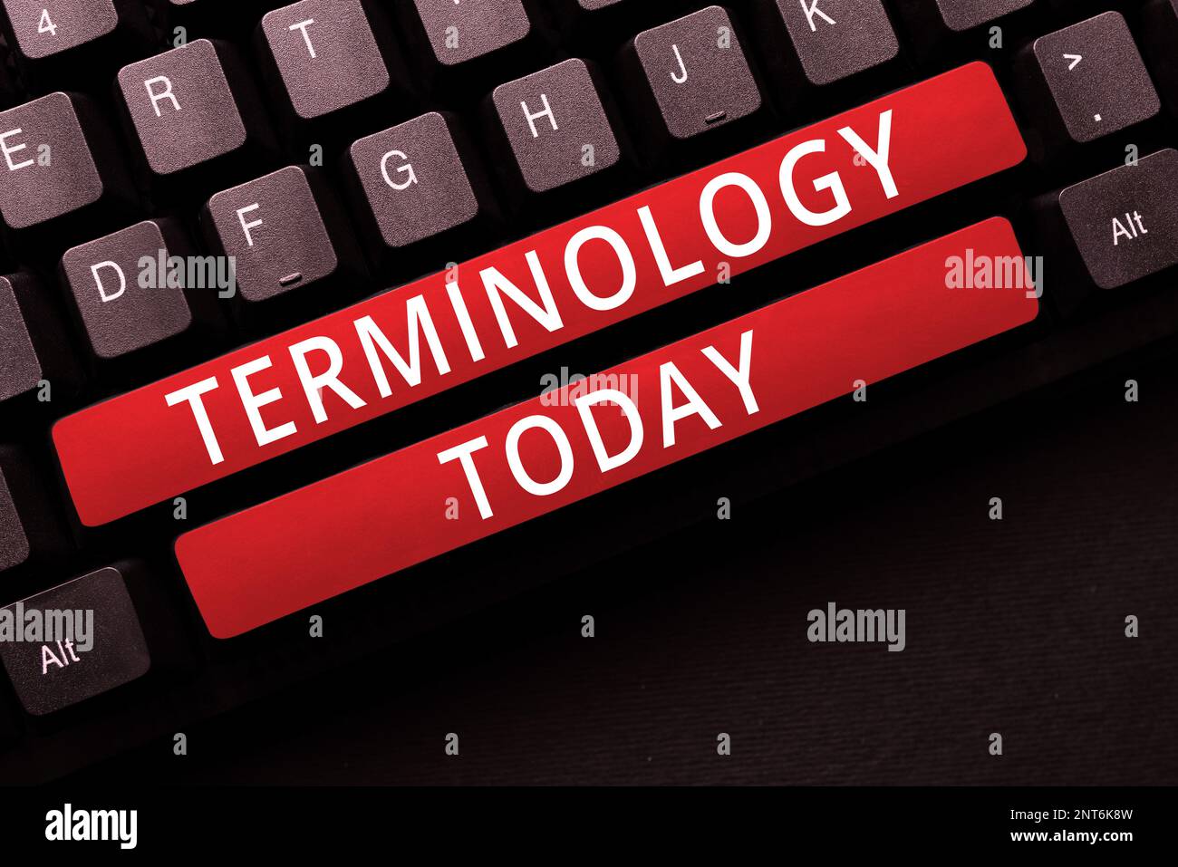 Text showing inspiration Terminology. Conceptual photo Terms used with ...