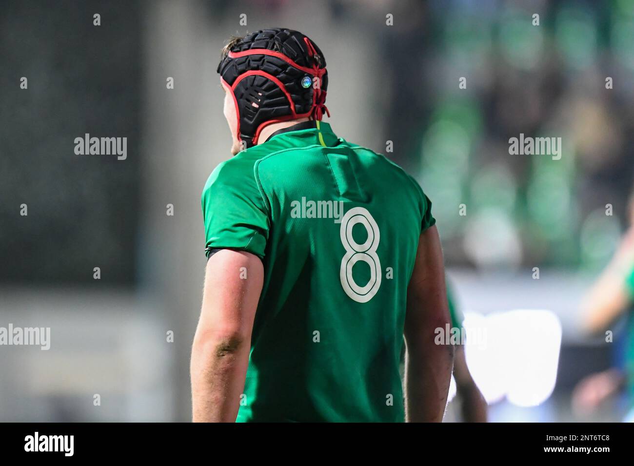 Monigo stadium, Treviso, Italy, February 24, 2023, Brian Gleeson of ...