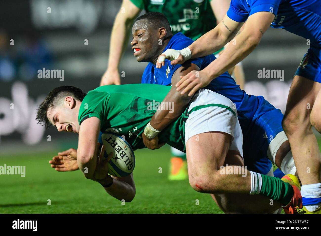 Monigo stadium, Treviso, Italy, February 24, 2023, John Devine of ...