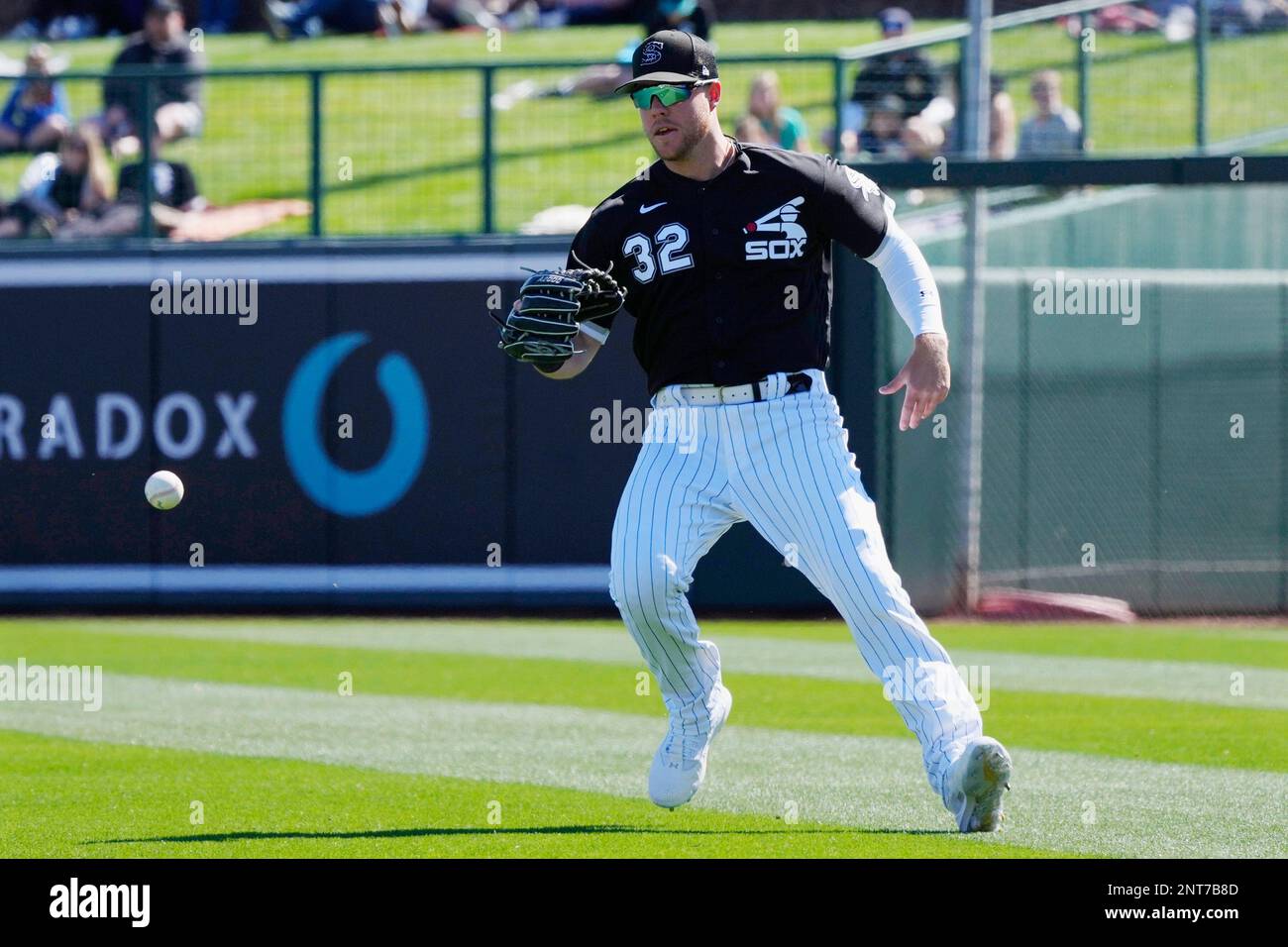 Chicago White Sox right fielder Gavin Sheets chases down a single by ...