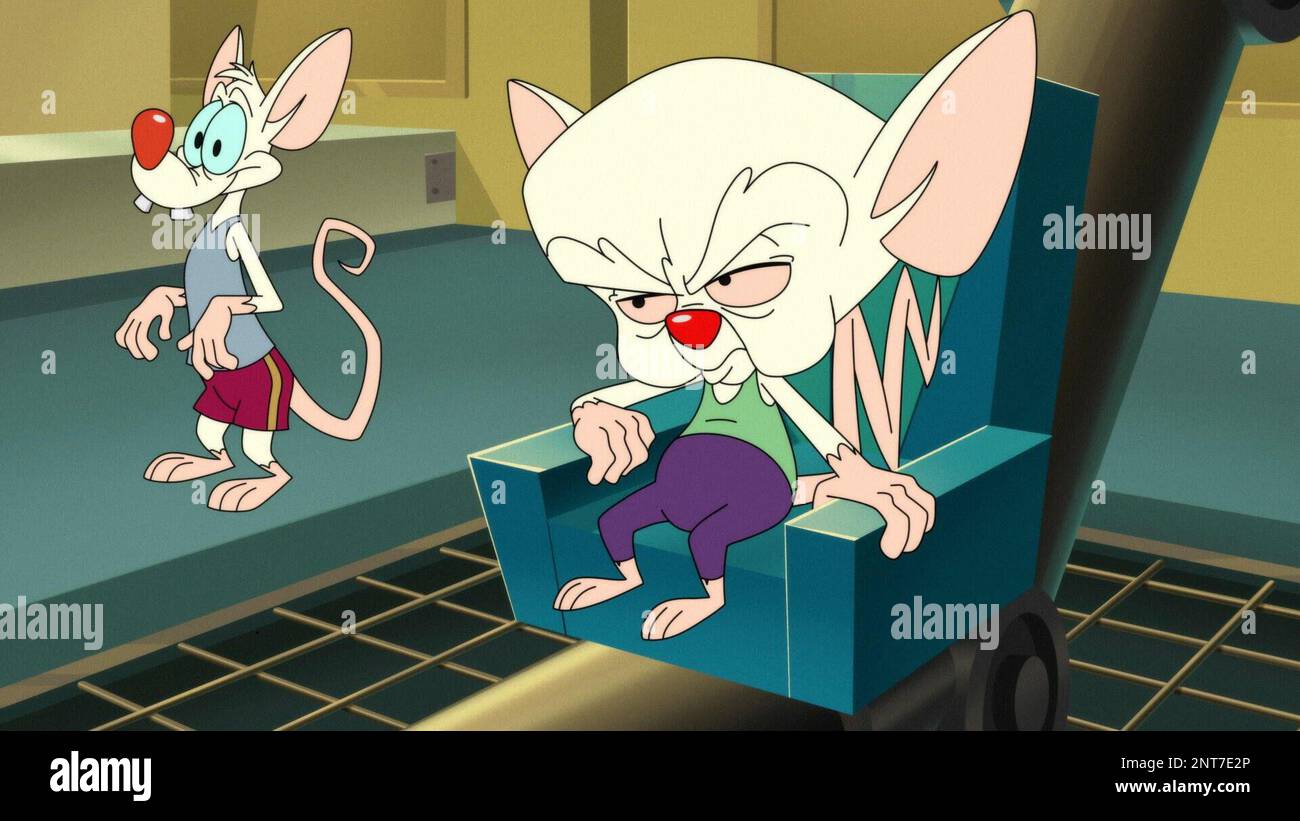 ANIMANIACS, from left: Pinky (voice: Rob Paulsen), The Brain (voice ...