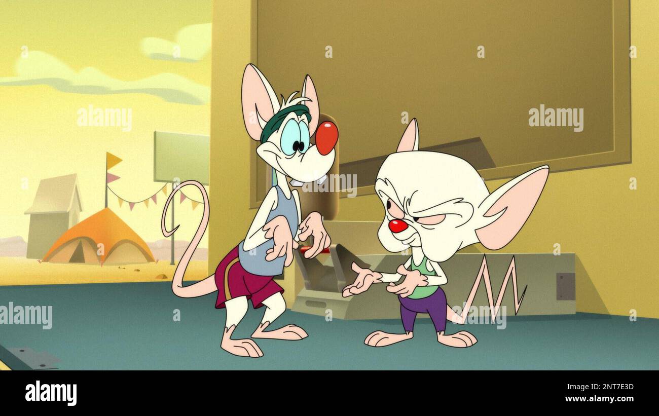 ANIMANIACS, from left: Pinky (voice: Rob Paulsen), The Brain (voice ...