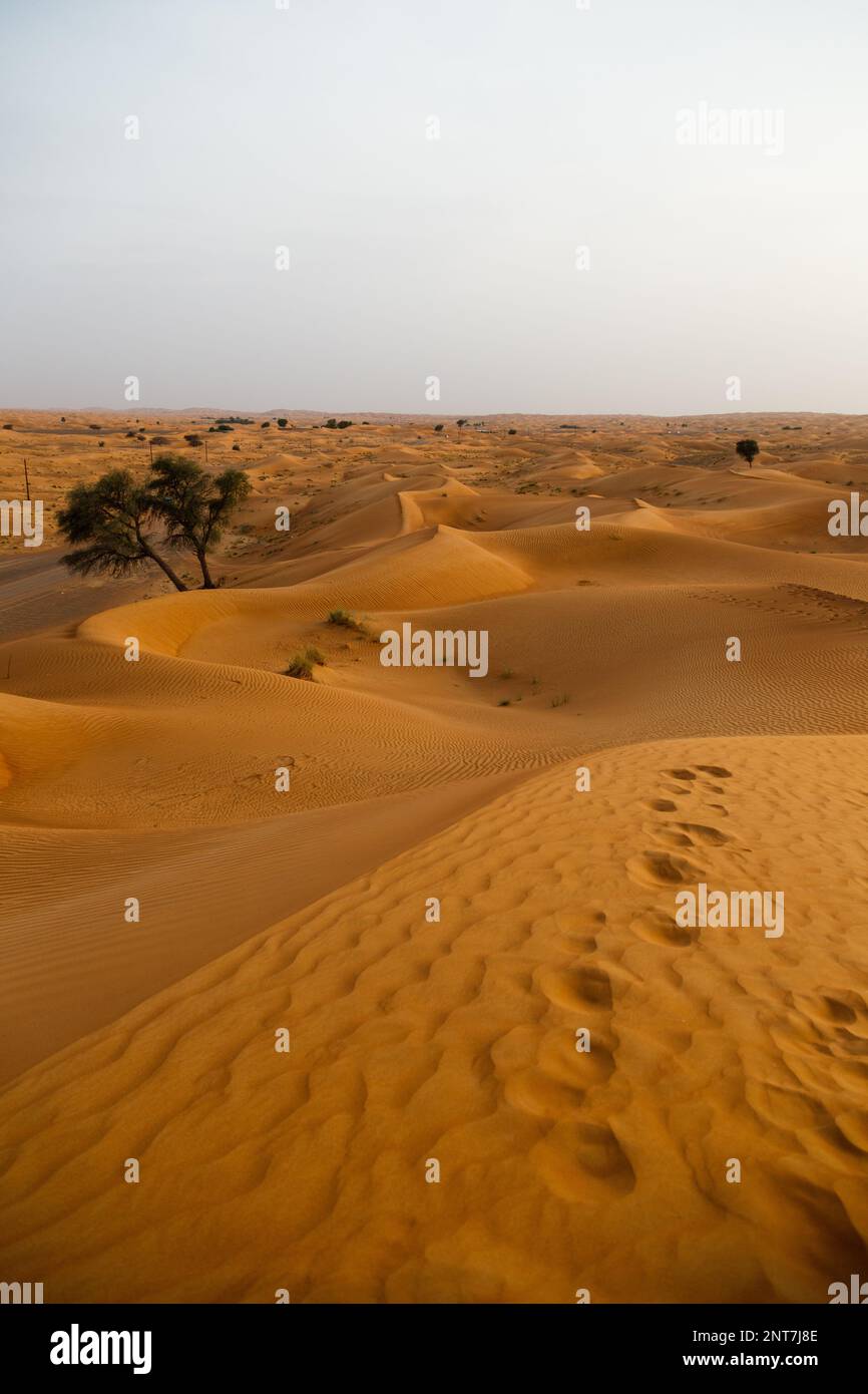 Dubai sand dunes skyline hi-res stock photography and images - Alamy