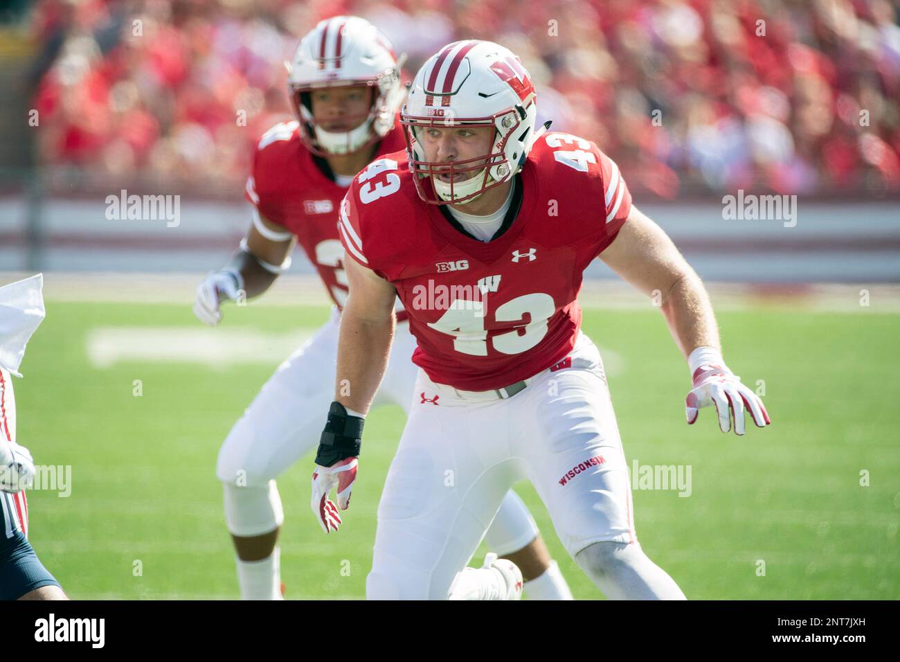 Wisconsin Badgers linebacker Ryan Connelly (43) during an NCAA college ...