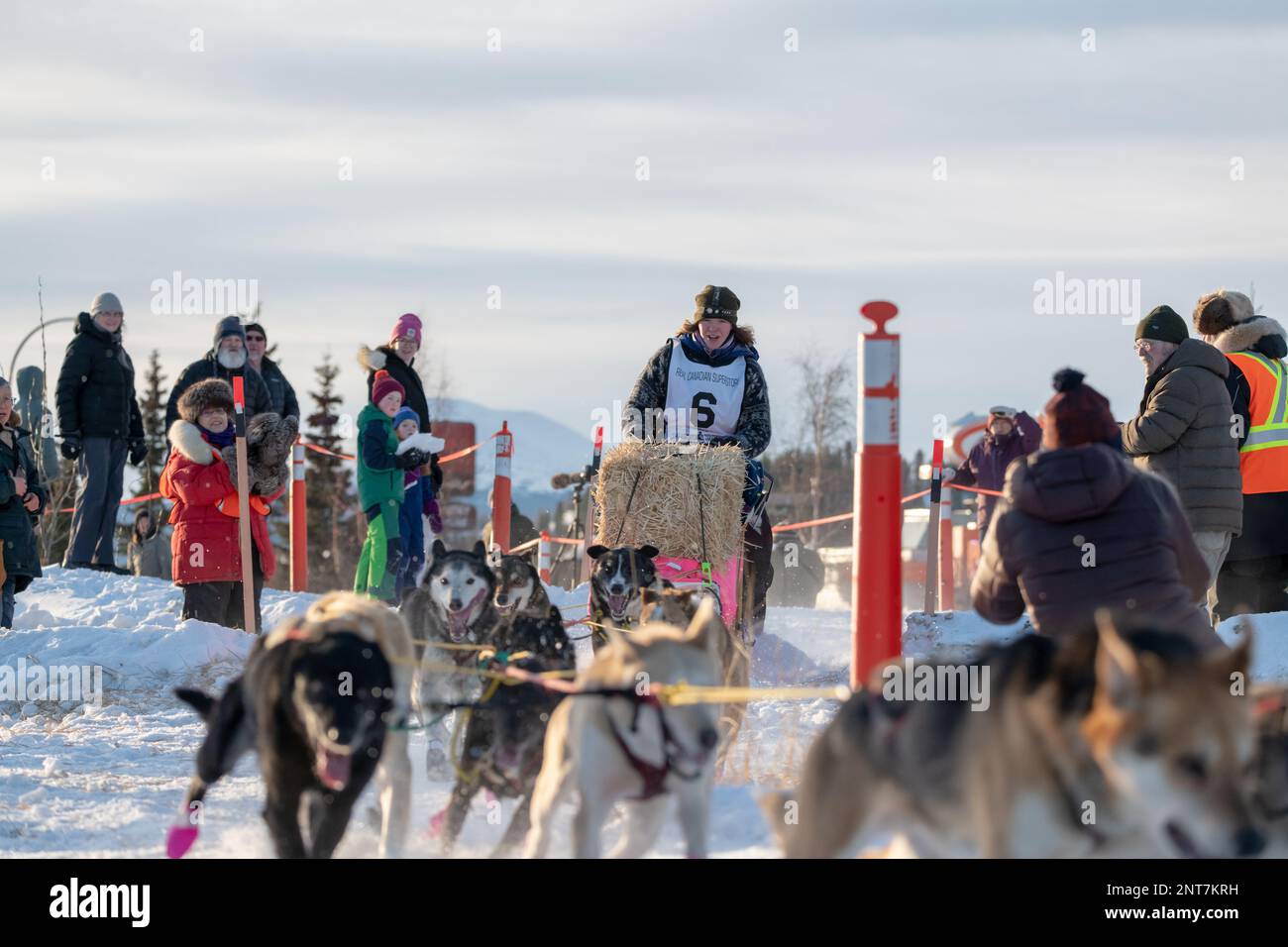 Alaska, dog sledding race yukon quest hi-res stock photography and ...