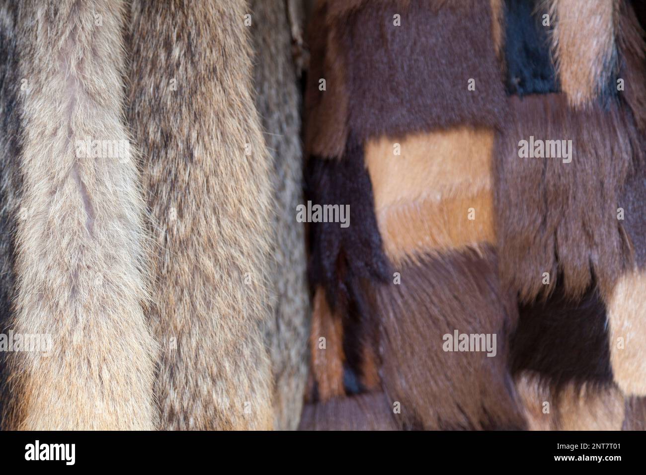 Fur for sale on a martket stall on Skopje, North Macedonia Stock Photo ...