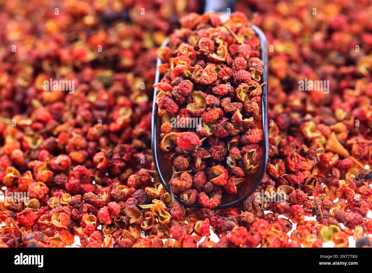 Chinese prickly ash on a white background Stock Photo - Alamy