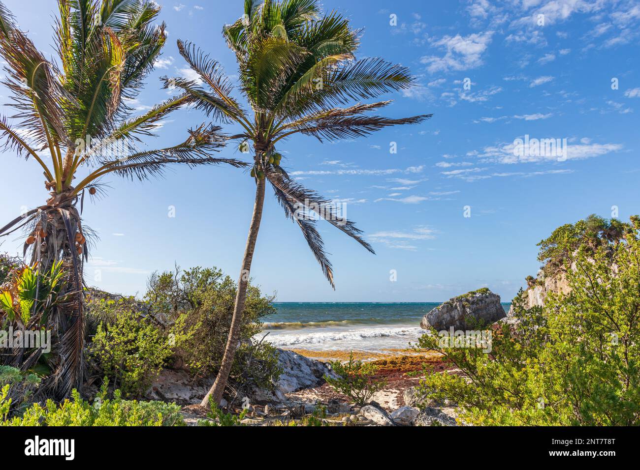 Hidden gem mexico beach hi-res stock photography and images - Alamy