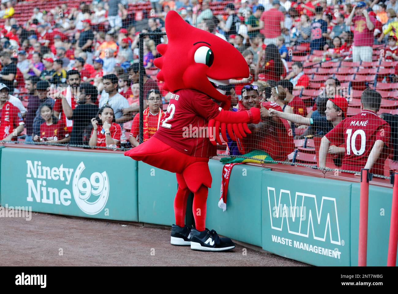 BOSTON, MA - JULY 21: Liverpool mascot Mighty Red fist bumps a young ...