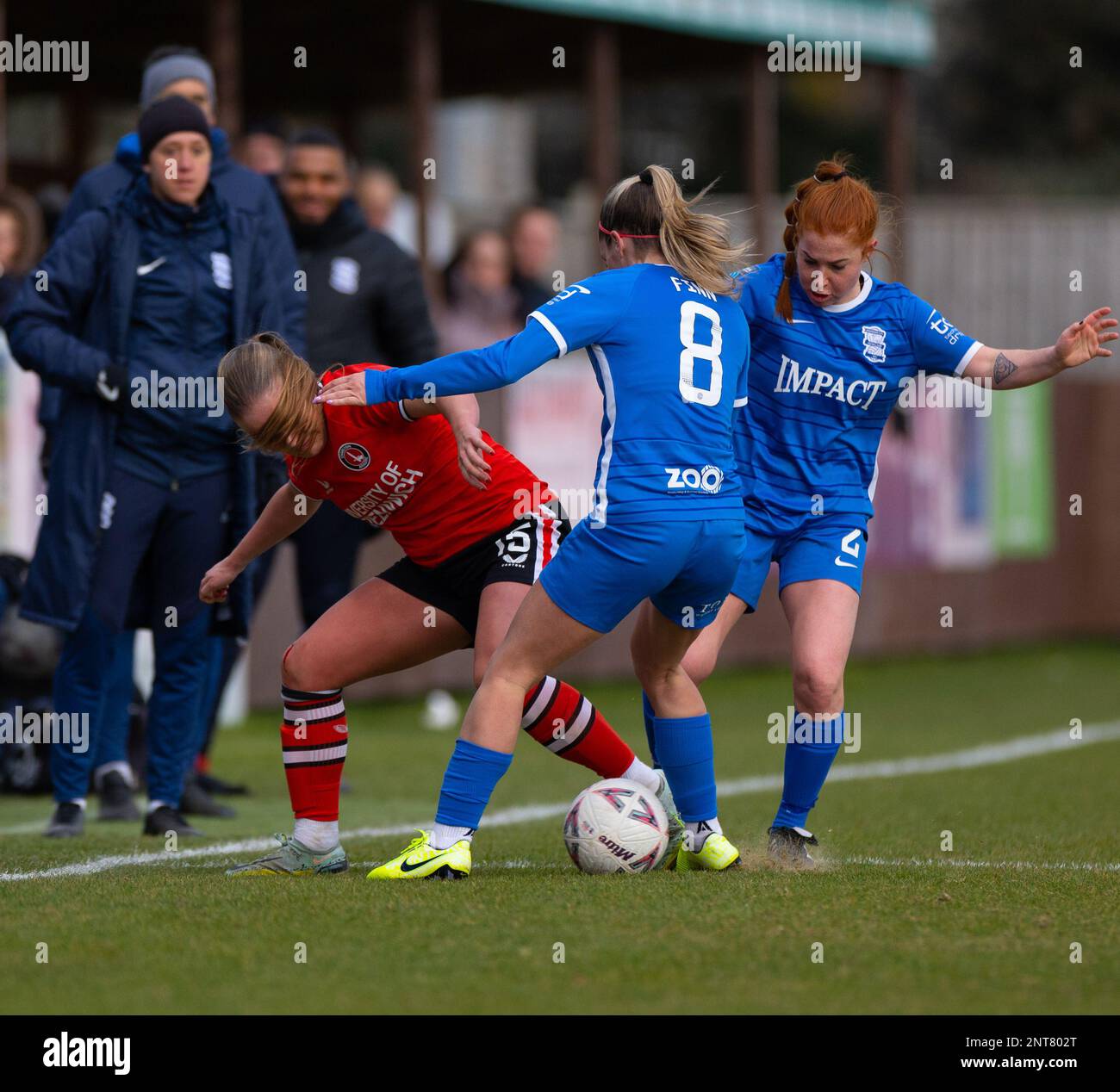 London, UK. 26th Feb, 2023. London, England, February 26th 2023: Alex ...