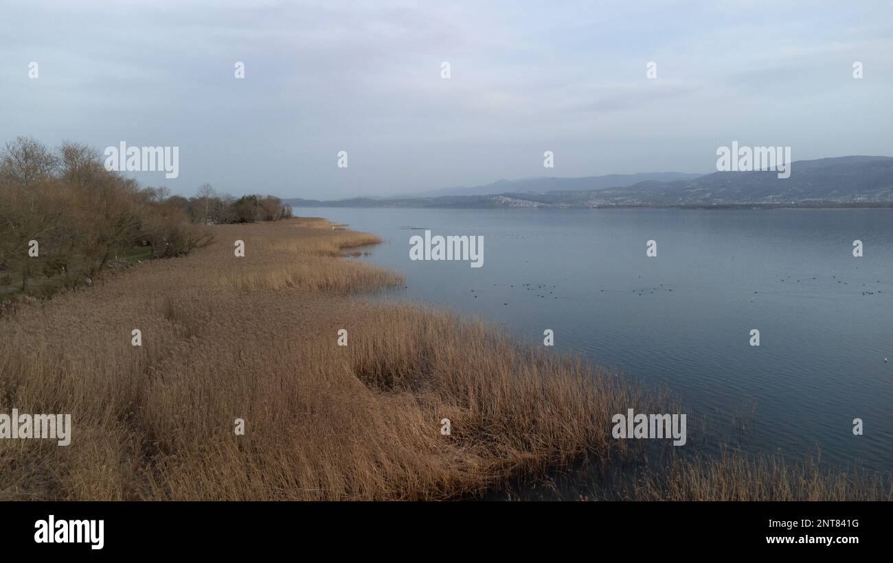 Aerial view of lake and reeds. Lake Sapanca in Turkey. Lake water level ...