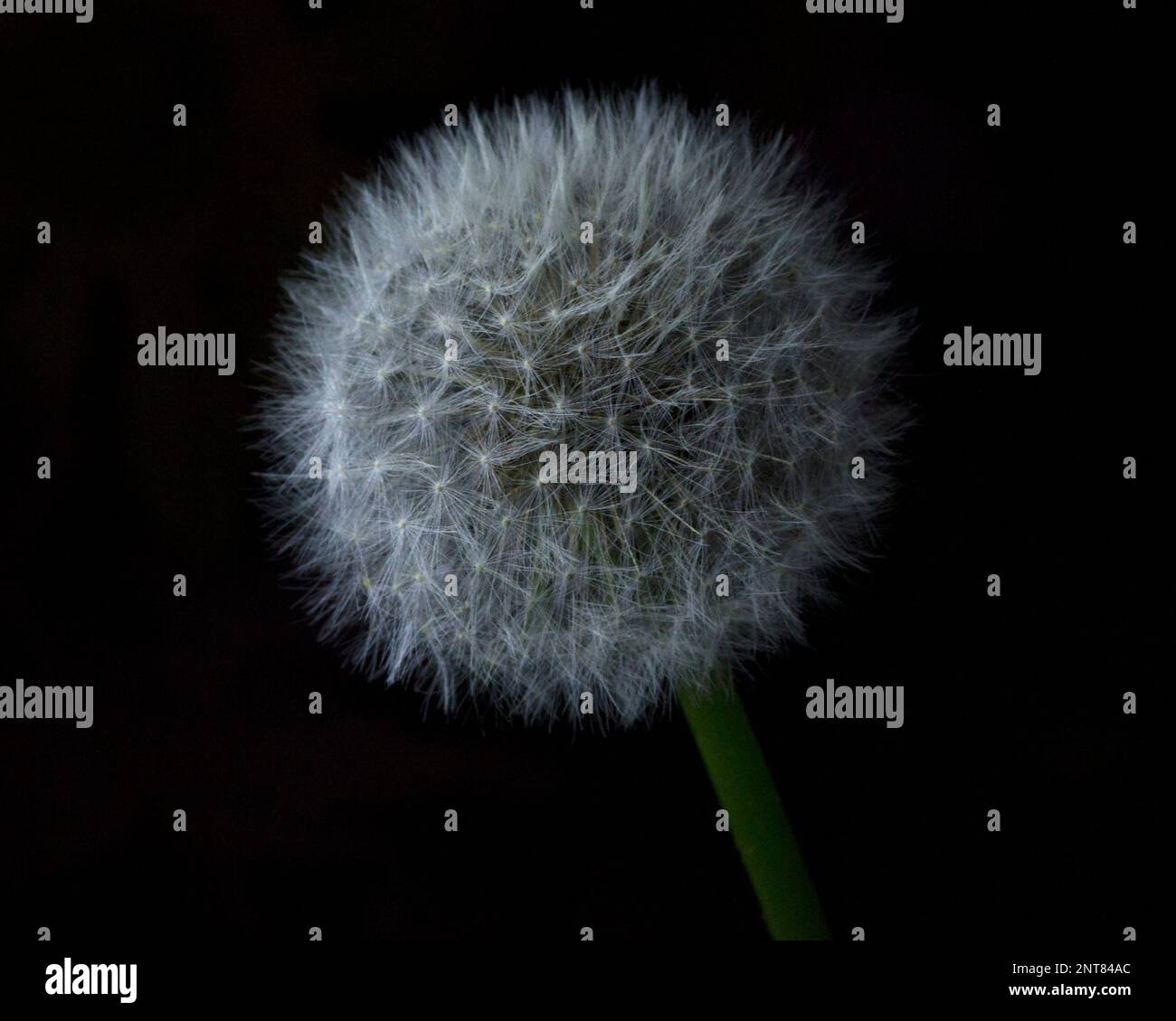 Season 2023 hi-res stock photography and images - Alamy