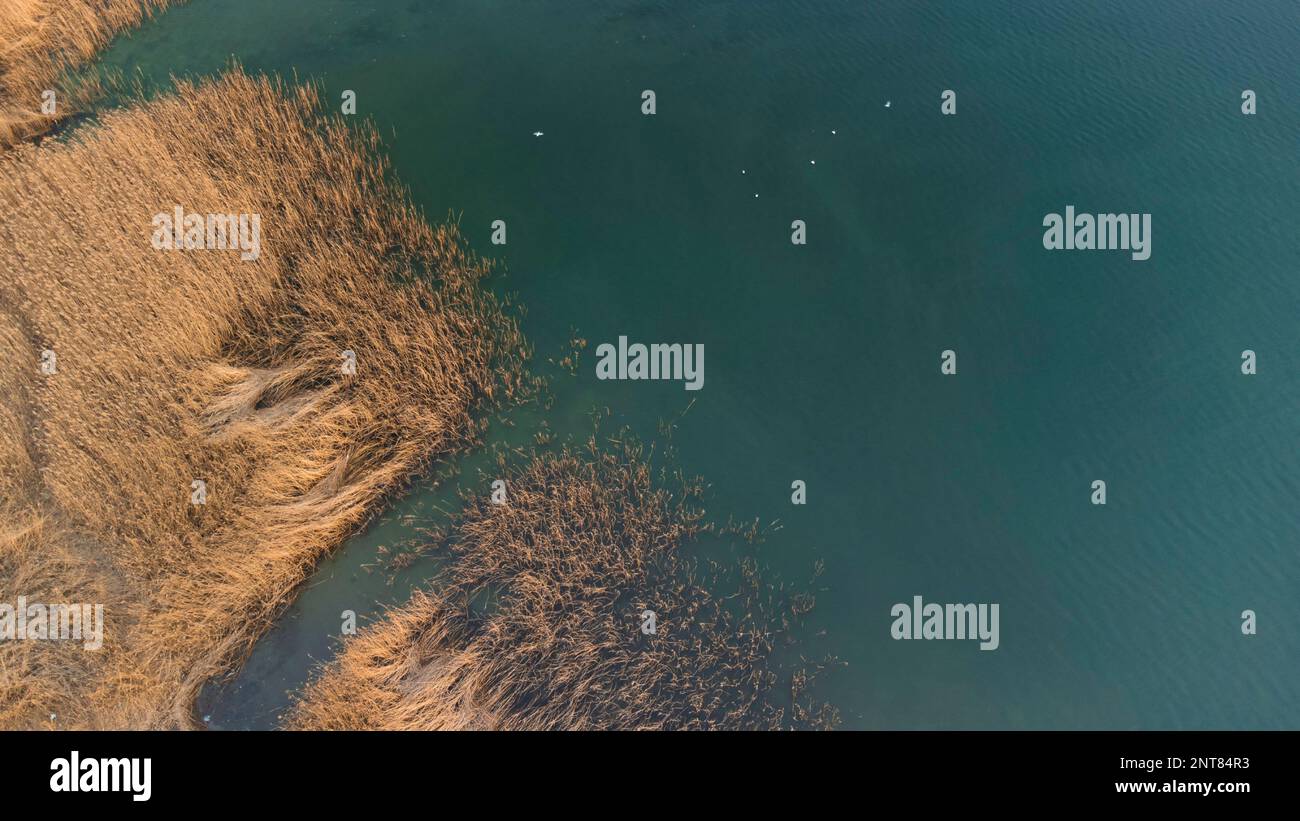 Aerial view of lake and reeds. Lake Sapanca in Turkey. Lake water level ...