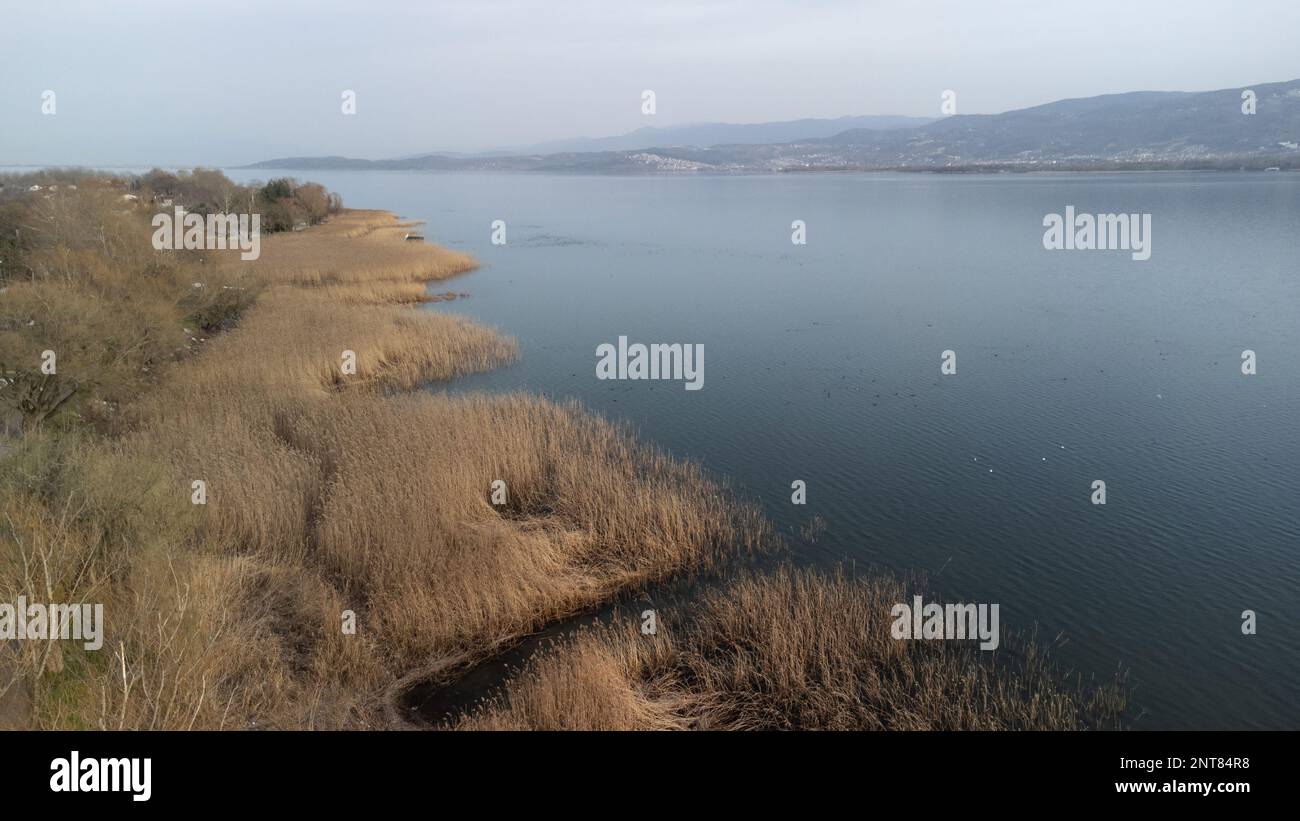 Aerial view of lake and reeds. Lake Sapanca in Turkey. Lake water level ...