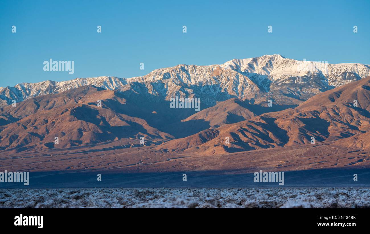 Gold crest range hi-res stock photography and images - Alamy