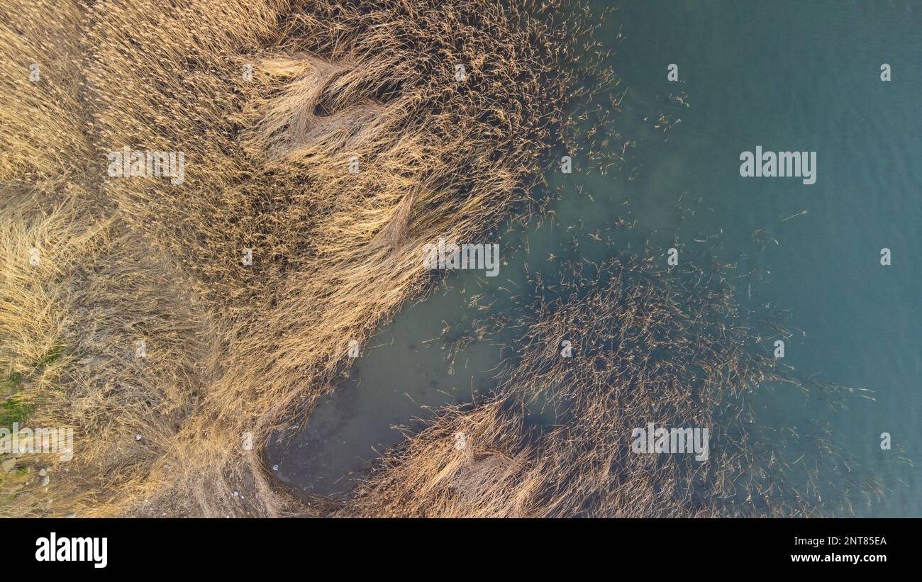 Aerial view of lake and reeds. Lake Sapanca in Turkey. Lake water level ...
