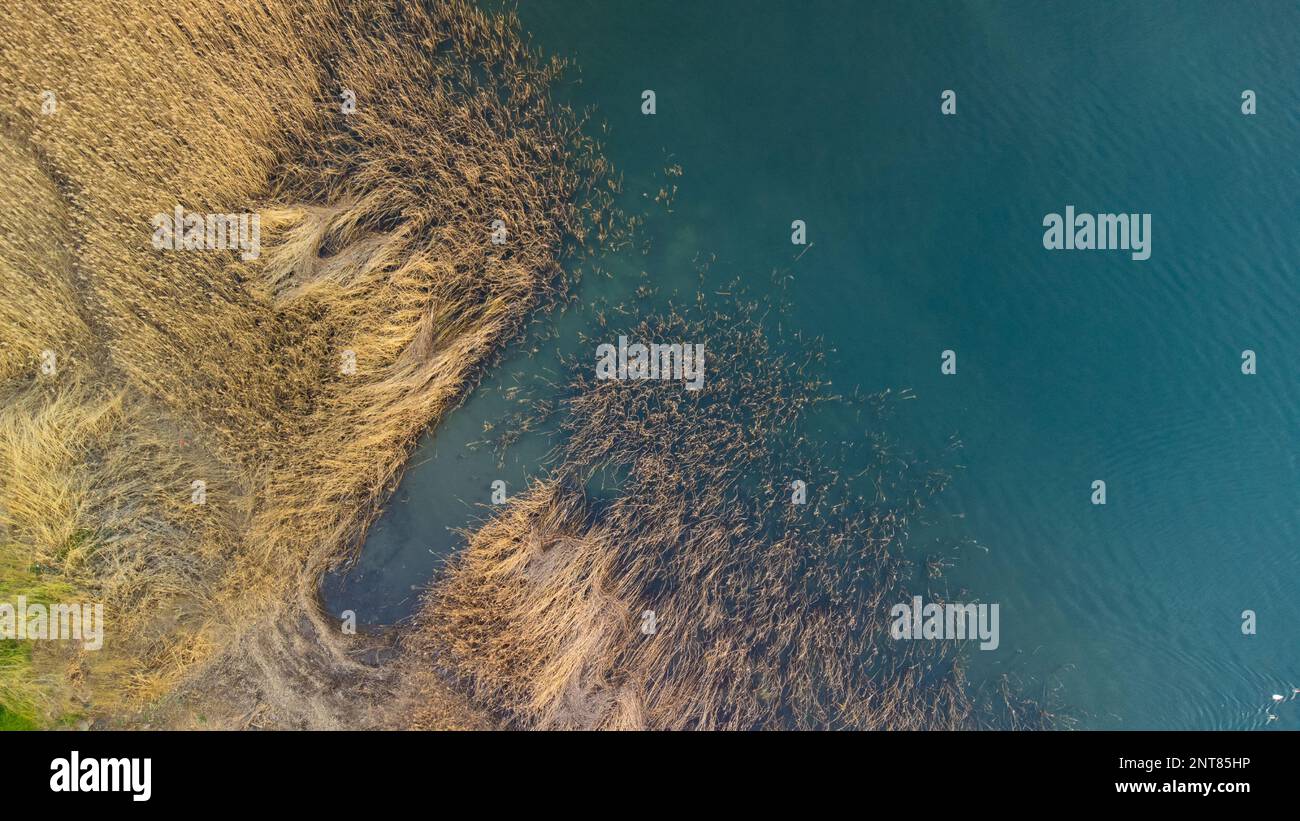 Aerial view of lake and reeds. Lake Sapanca in Turkey. Lake water level ...