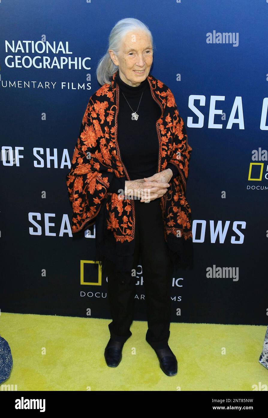 Photo by: zz/GOTPAP/STAR MAX/IPx 2019 7/10/19 Dr. Jane Goodall at the ...