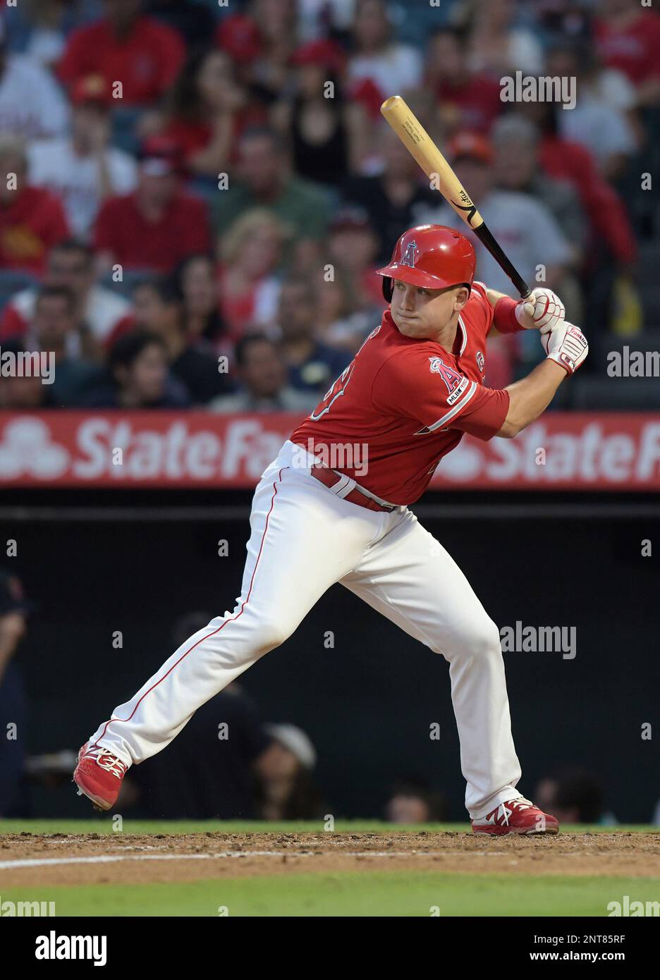 ANAHEIM, CA - JULY 17: Los Angeles Angels first baseman Matt Thaiss (23 ...