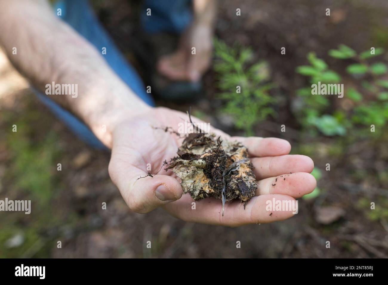 In this photo taken June 21, 2019, Dr. Philippe Amstislavski holds a ...