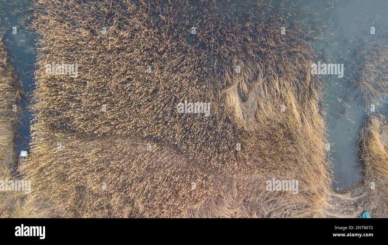 Aerial view of lake and reeds. Lake Sapanca in Turkey. Lake water level ...