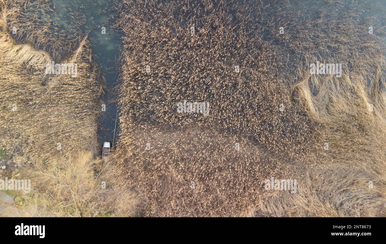 Aerial view of lake and reeds. Lake Sapanca in Turkey. Lake water level ...