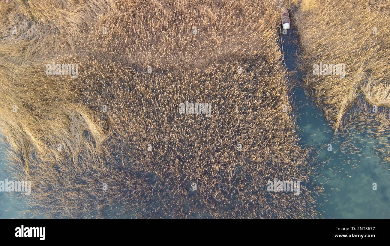 Aerial view of lake and reeds. Lake Sapanca in Turkey. Lake water level ...