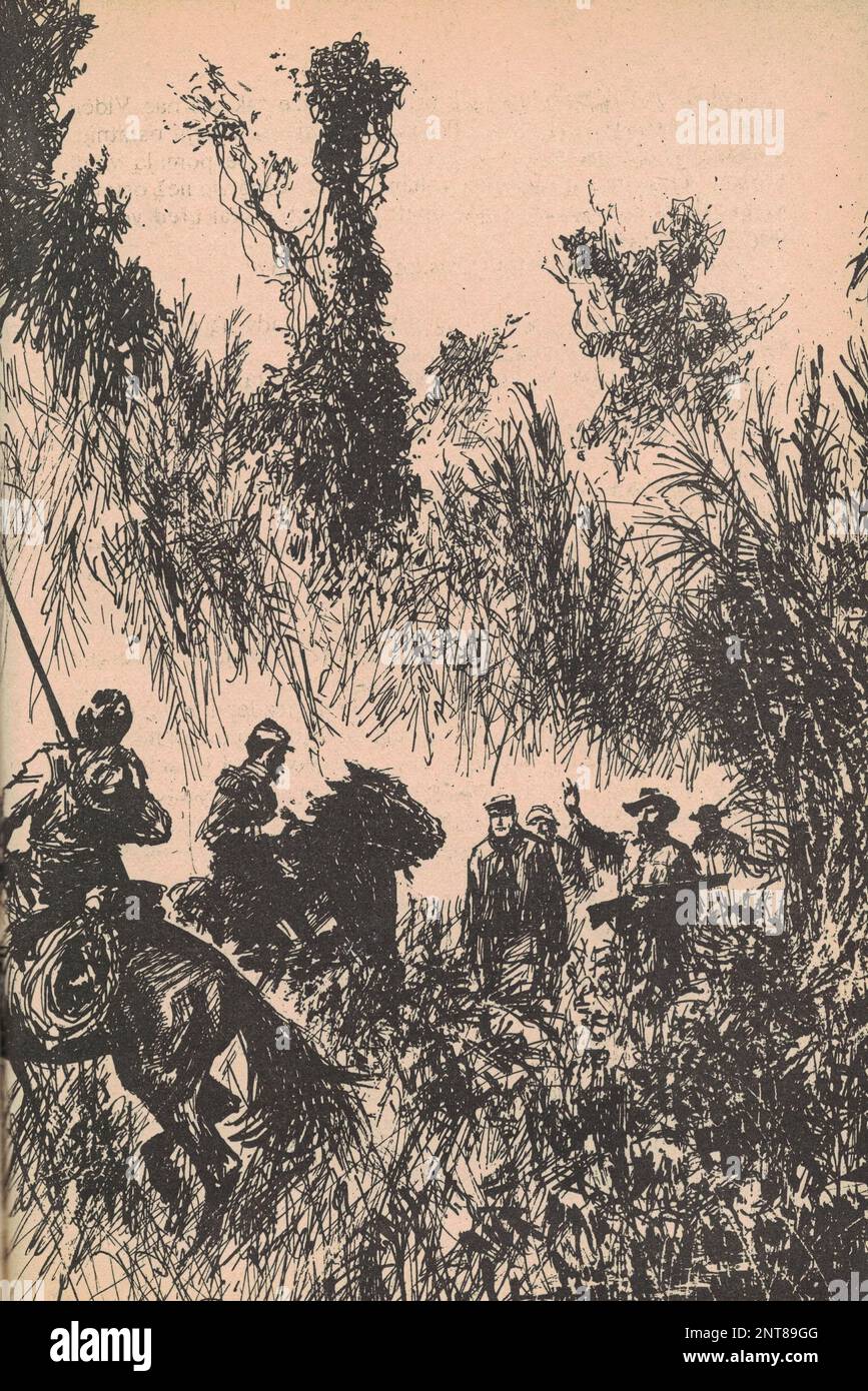 Black and white illustration shows hunters in the jungle. Drawing shows ...