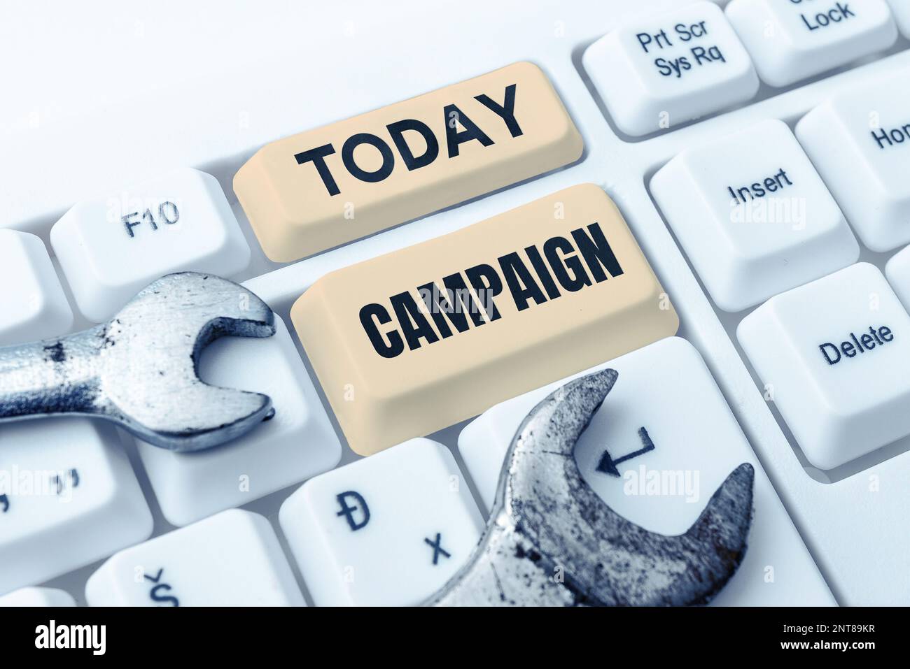 Text caption presenting Campaign. Internet Concept organized course of ... Text caption presenting Campaign. Internet Concept organized course of ...